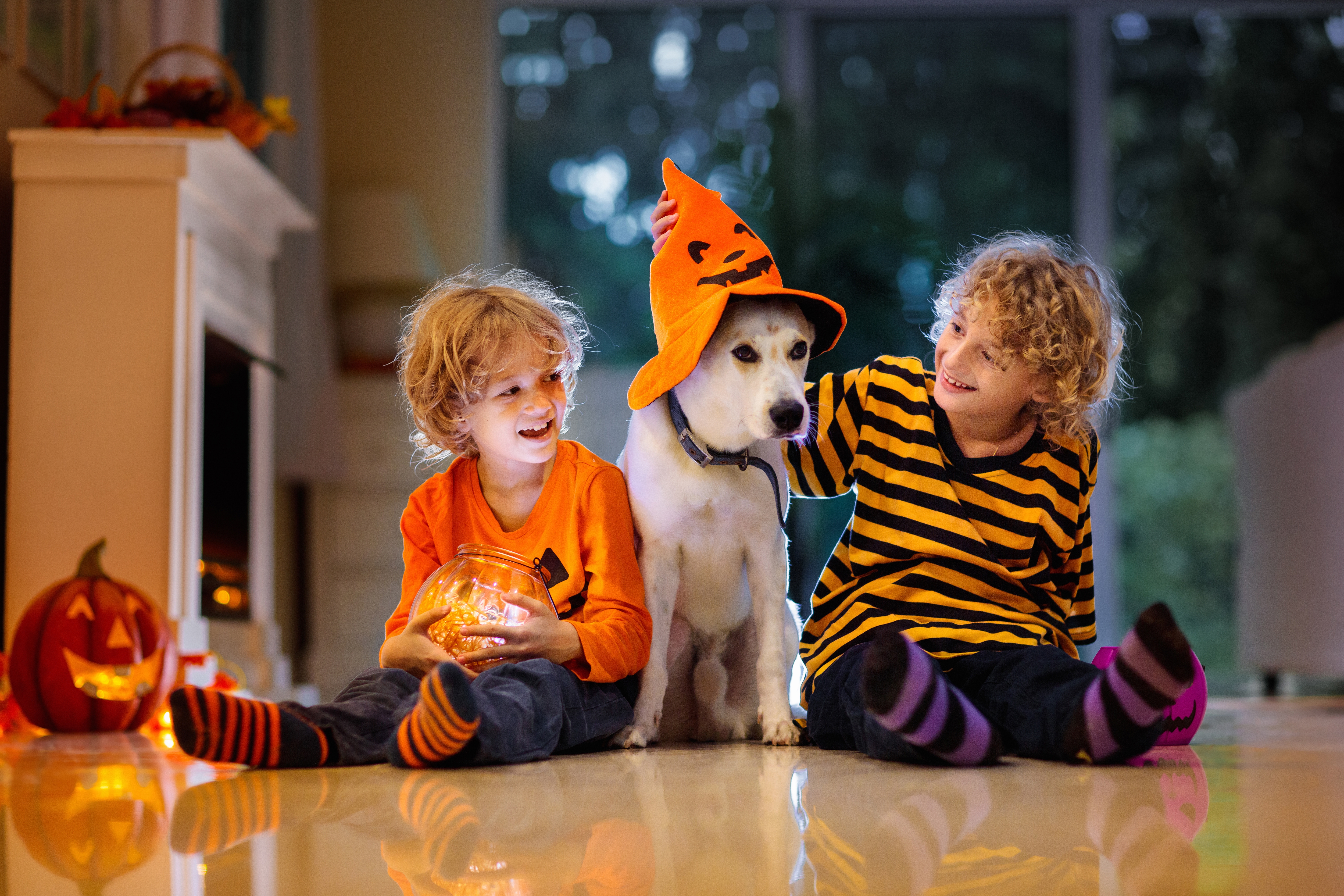 CoxHealth | Halloween Safety Tips for Children, Adults, and Pets