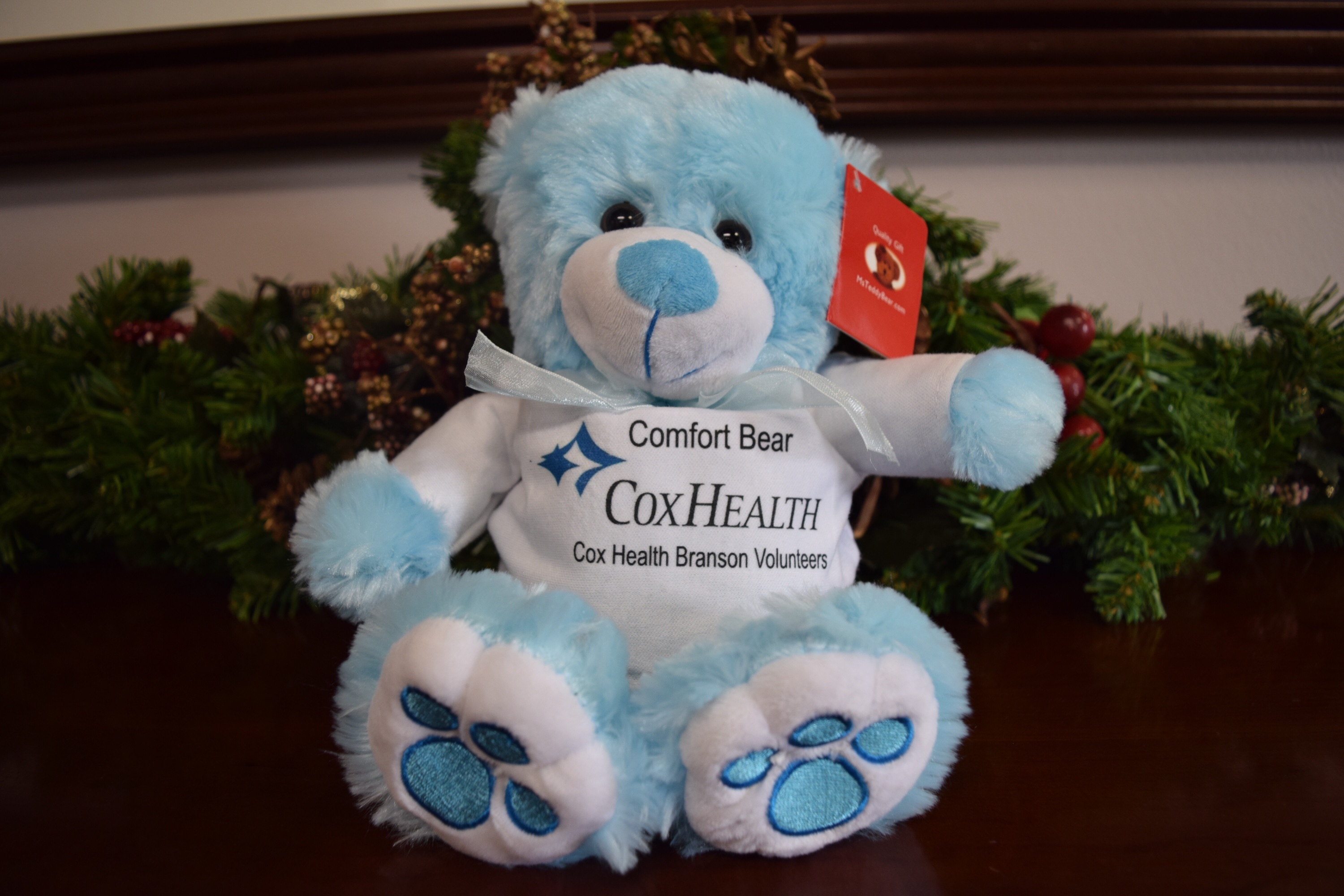 CoxHealth | Comfort Bears ease stress for patients of all ages