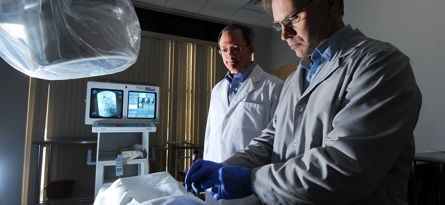 CoxHealth | Orthopedics